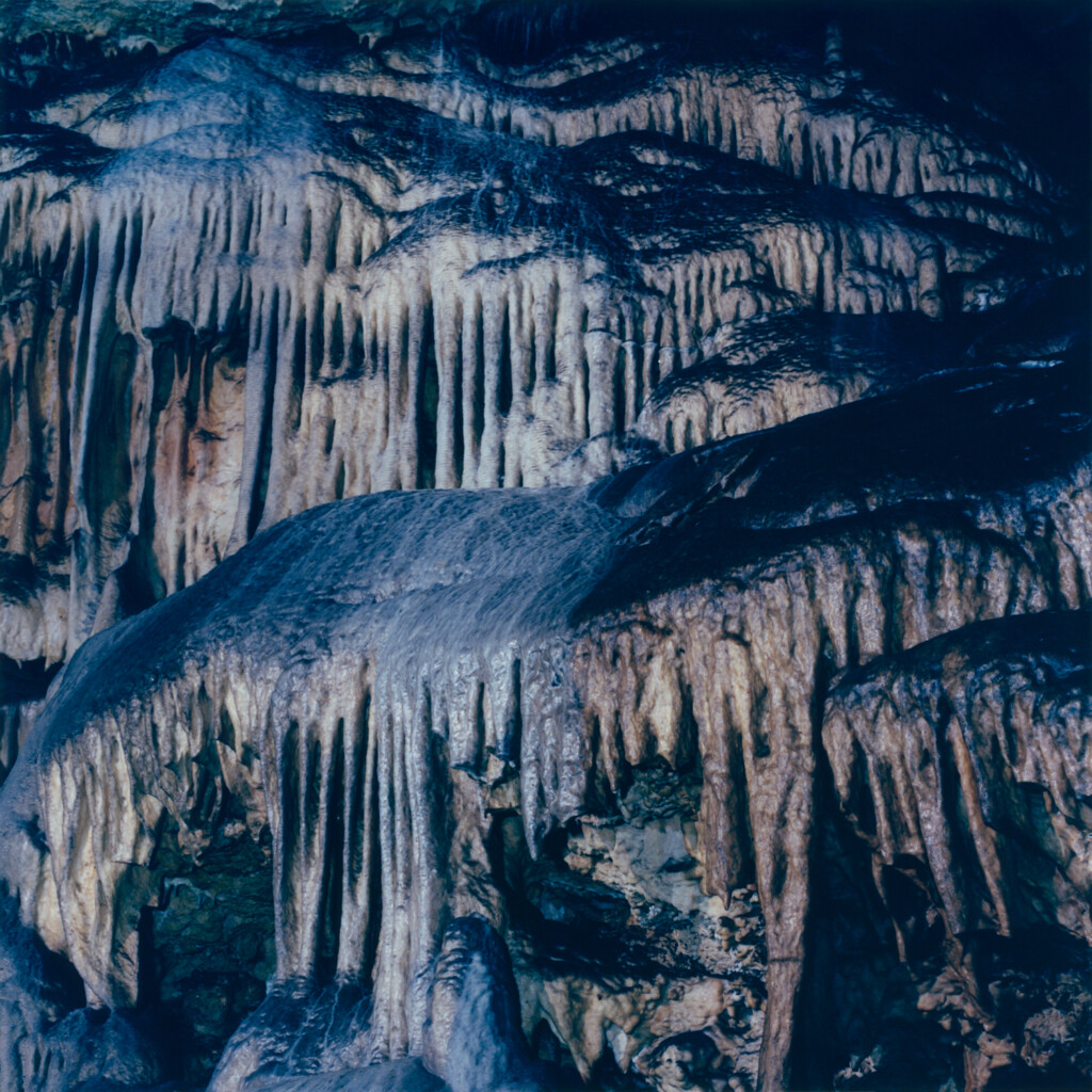 Alexander Gehring | Artistic Works