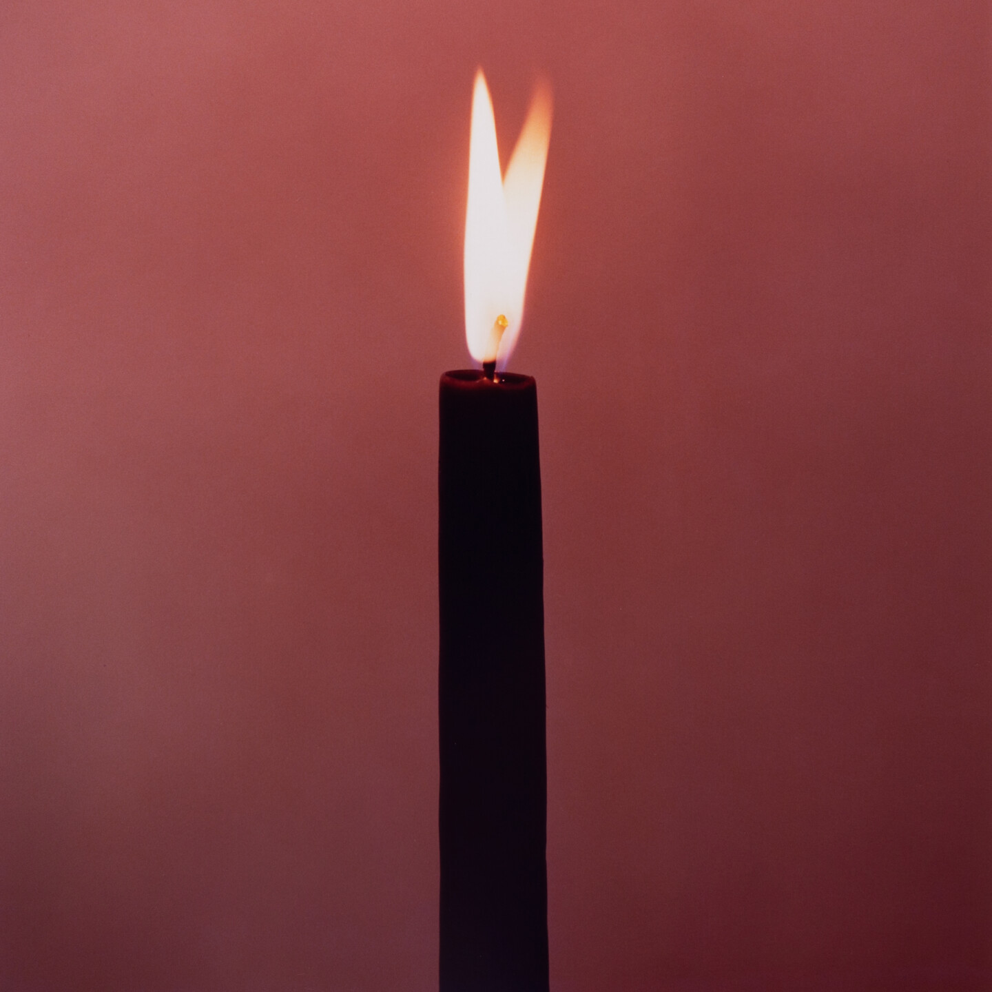 Alexander Gehring | The Alchemy of Colour