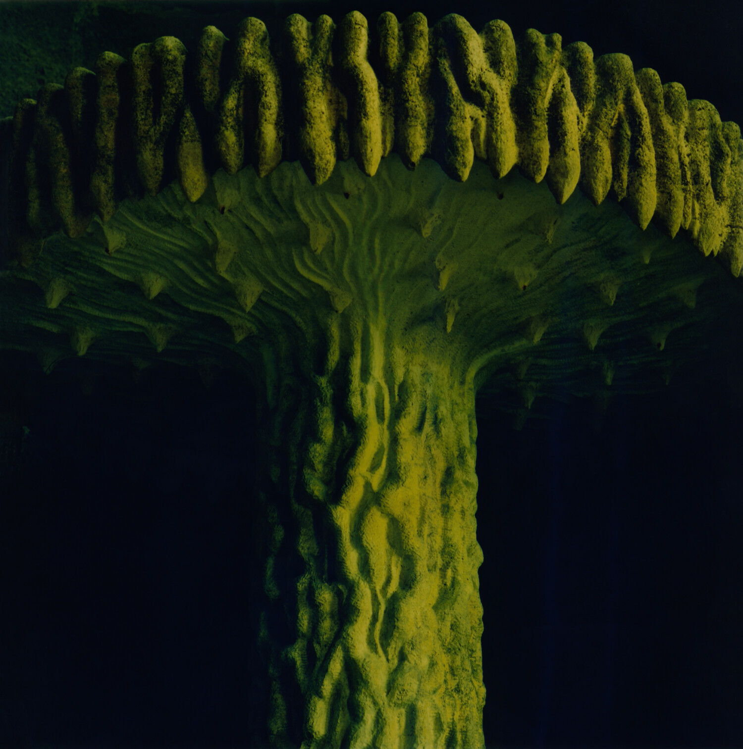 Alexander Gehring | The Alchemy of Colour